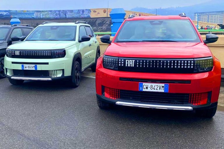 Cursed production of the Fiat Grande Panda: Italian workers expelled ...